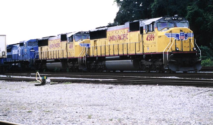 A good look'n consist